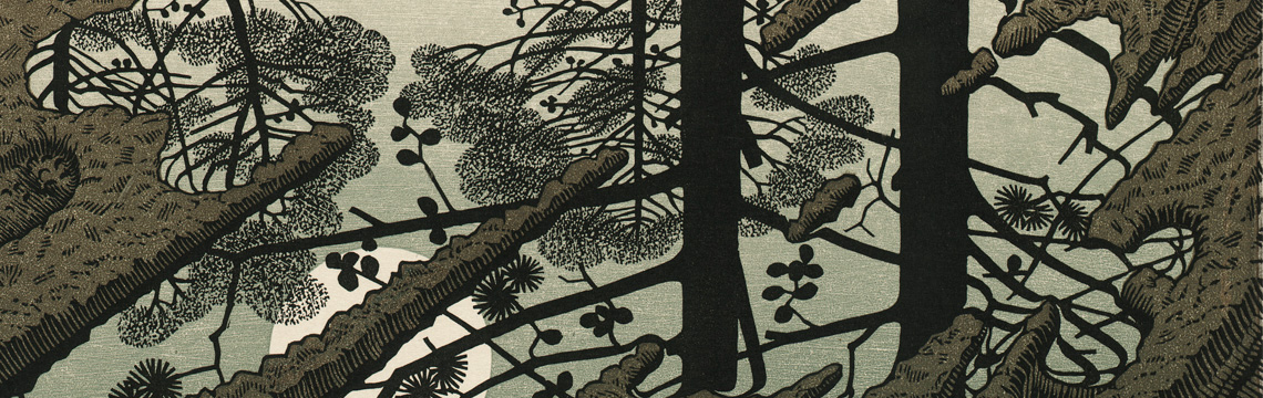 The Amazing World of MC Escher