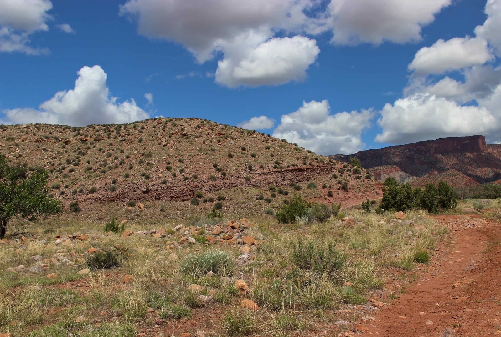 In the Company of Plants and Rocks: Beautiful Stones & Battered Relics