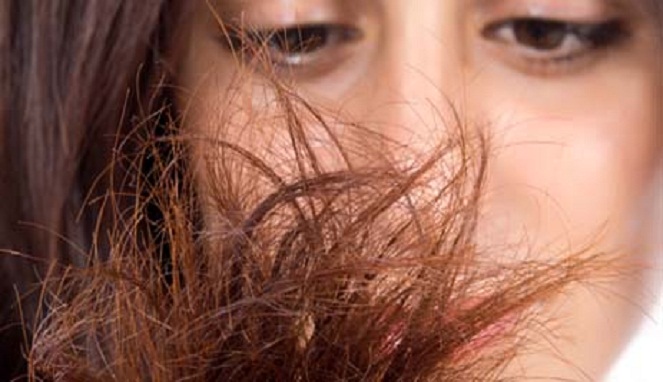 Cara Merawat Rambut Kering dan Rusak - Beauty