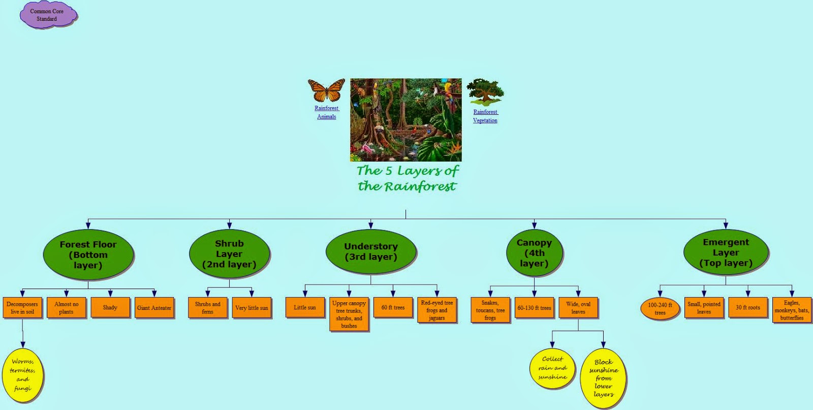 IT 365 Fall 2014 Olivia Herring: Concept Map: "The 5 Layers of the ...