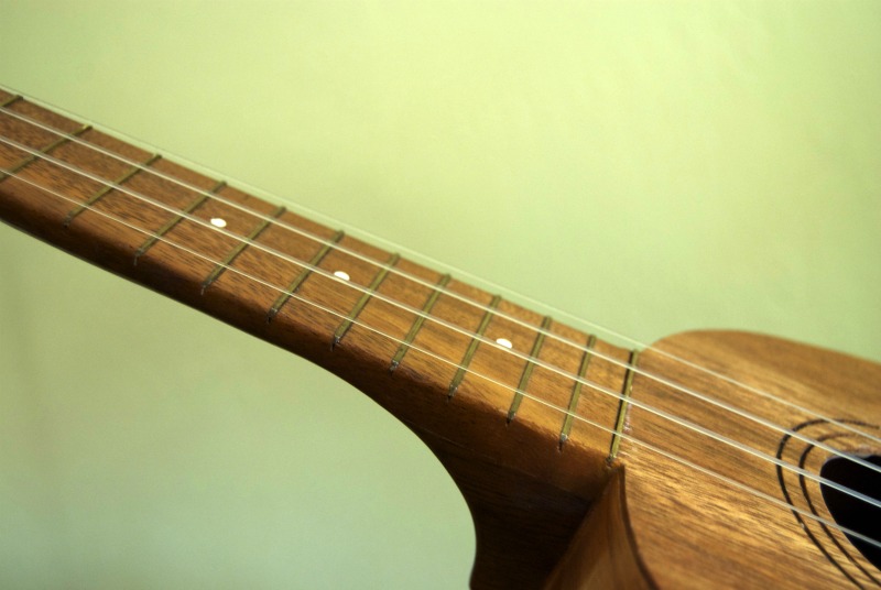 unschool plus: louis gaspar ukulele