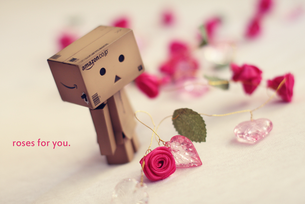 Sarah's World: Koleksi Gambar Danbo