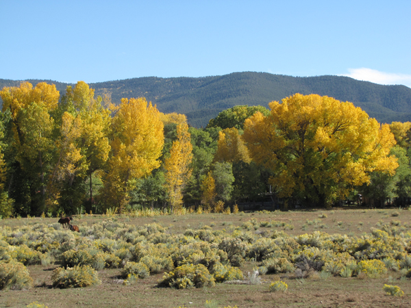 Mabel Dodge Luhan and the Remarkable Women of Taos: Photo post: Mabel ...