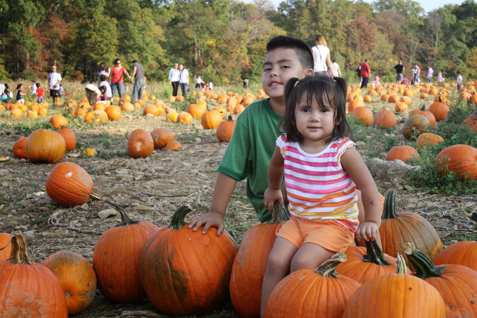 Our Family, Our Life, Our Journey!!: Pumpkin Picking and Pumpkin Decorating