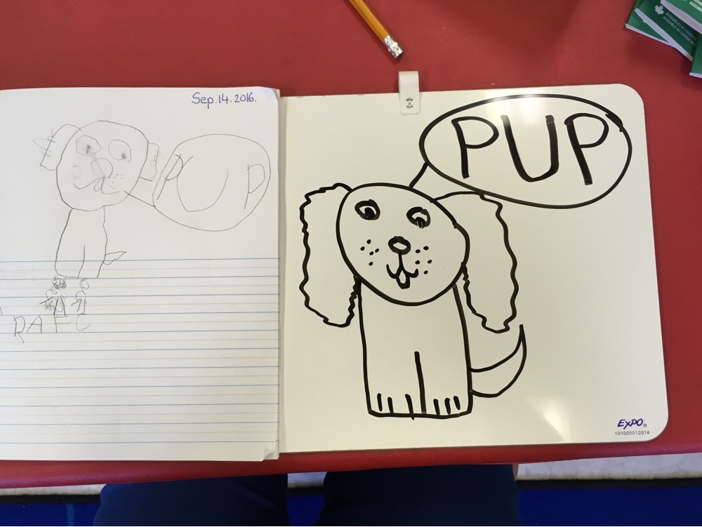 Adventures in Kindergarten: Yummy Apples!