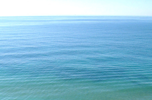 Resonances, waves and fields: Traveling and standing waves in two and ...