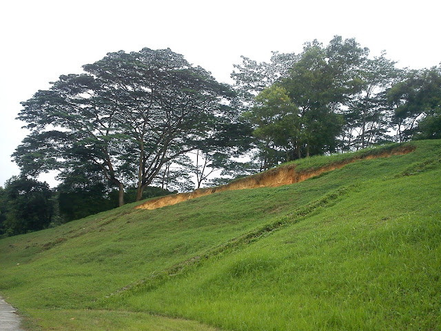 Physical Geography: Slump on hill slope in Singapore (Before and after ...