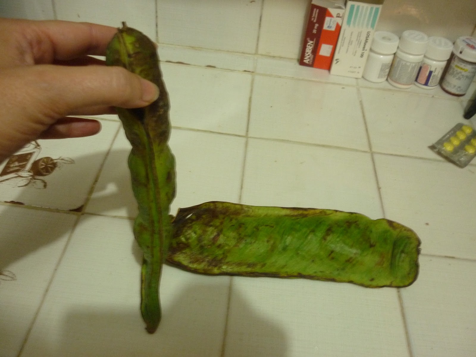 commuNICA: Fruits of the day: guava and guaba