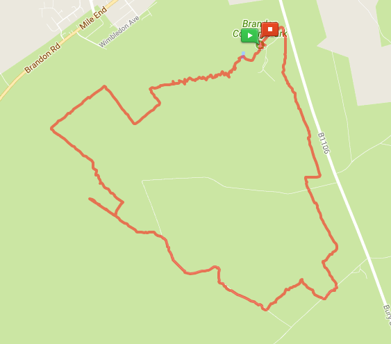 Reinterred: Bury St. Edmunds Ramblers Walk - Brandon Country Park