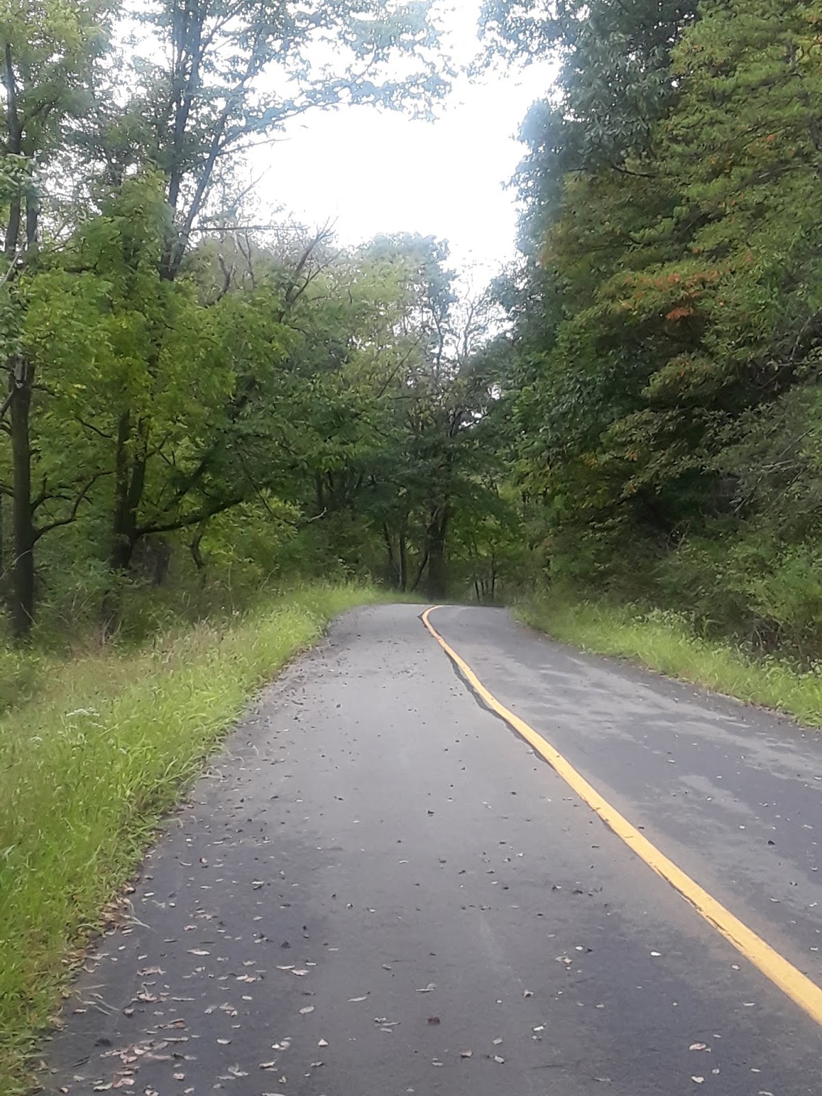 Blue Mist Road, Its Lore and Urban Legends