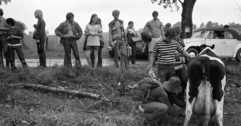 22 Beautiful Woodstock Photos That Make You Feel Like You Were There ...
