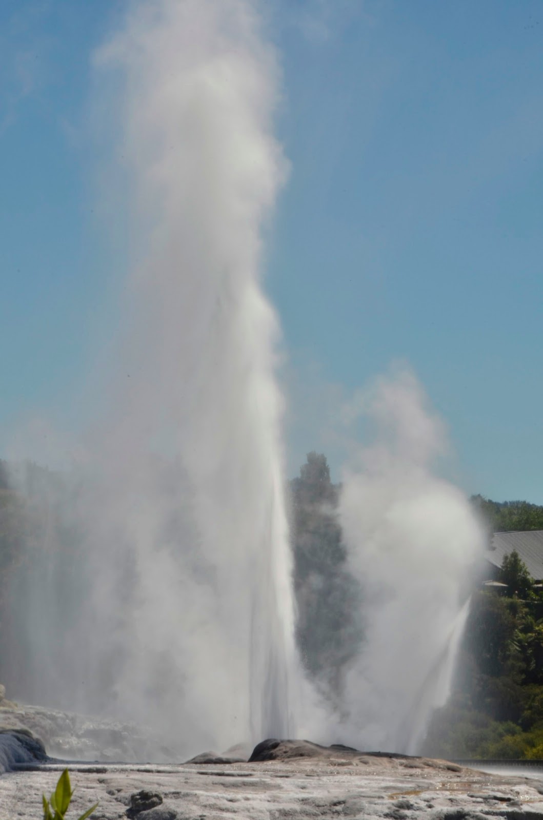 Vivere e viaggiare un anno in Australia