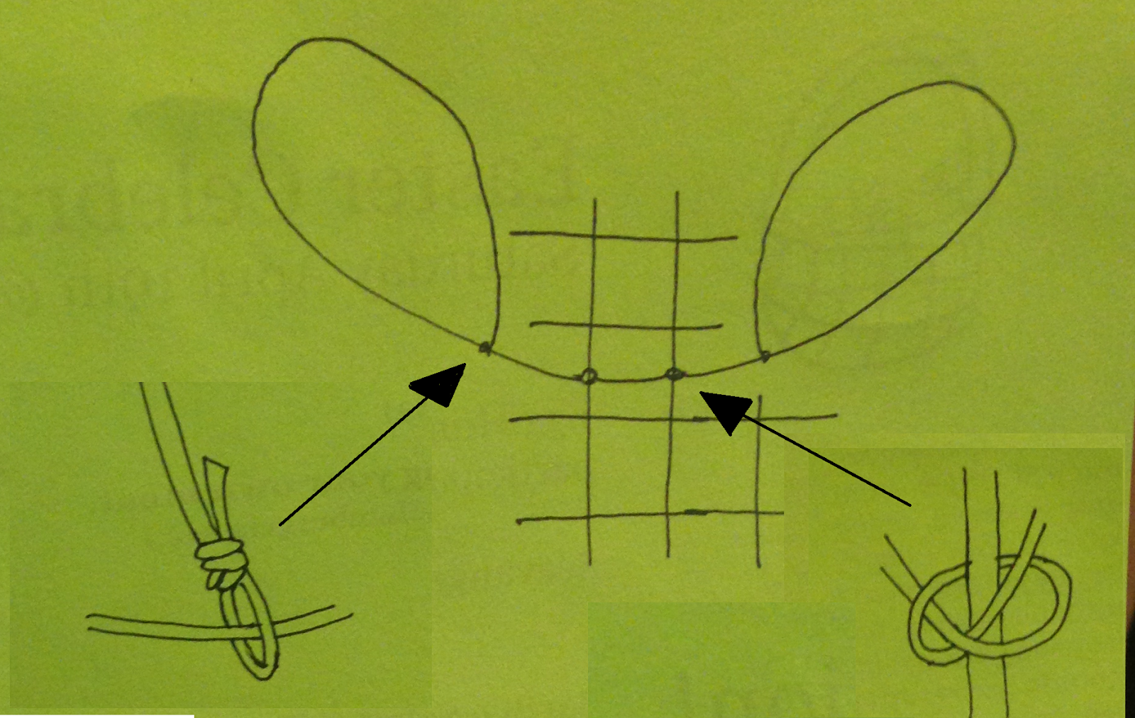 Falconry: How to trap an American kestrel