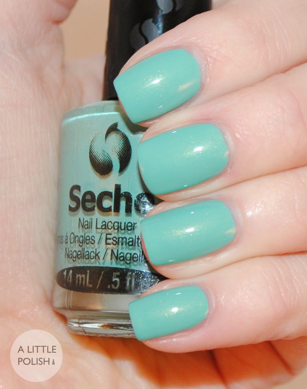 A Little Polish: Seche Nail Lacquer - Perfectly Poised Collection ...