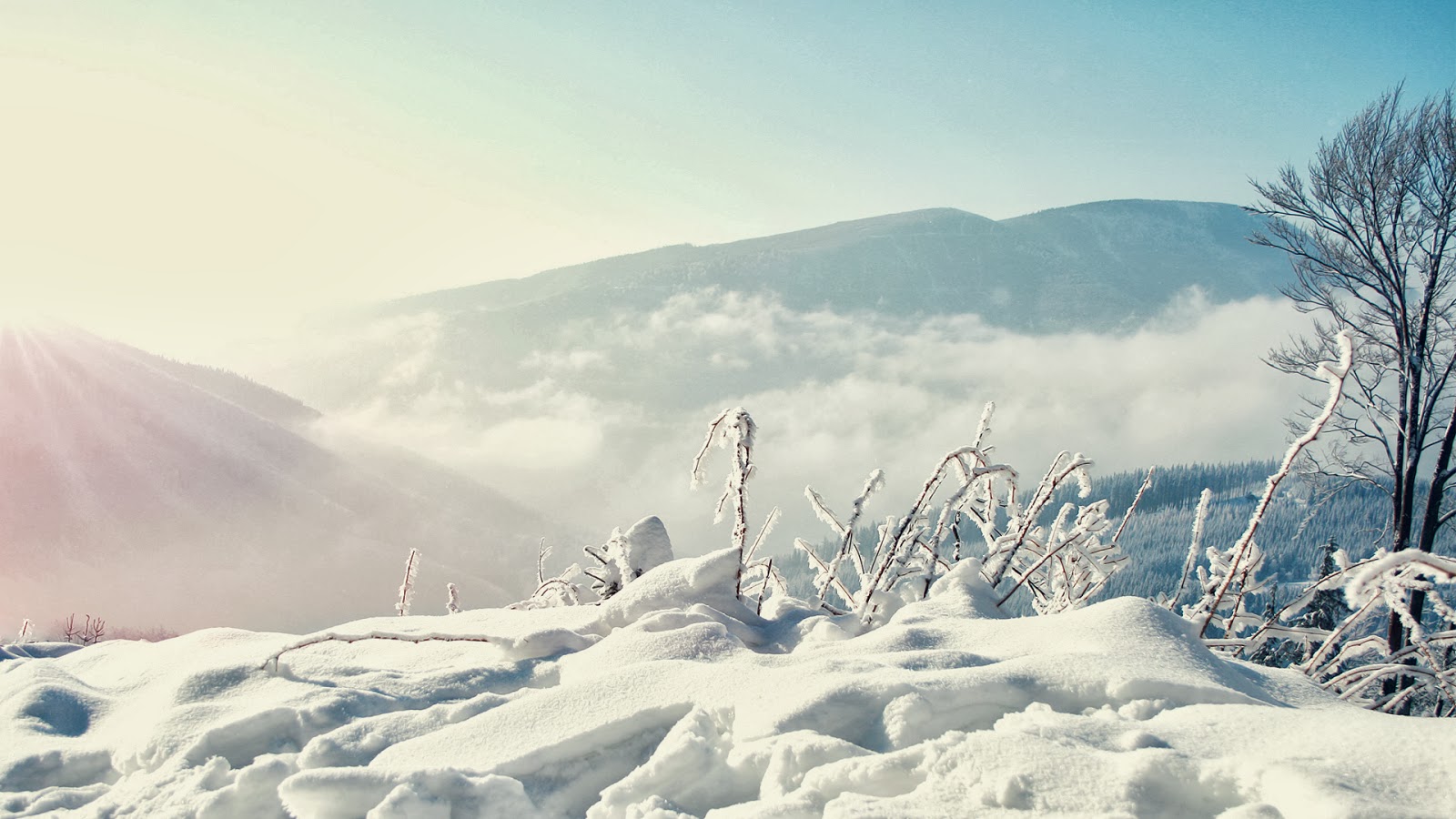 20 fotografías del invierno - Winter free photos - Nieve - Snow ...