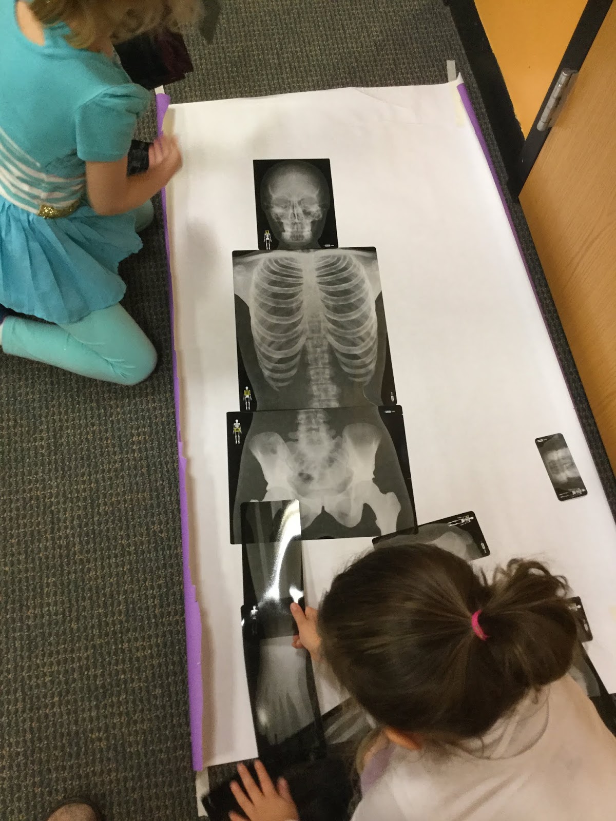 The Buckeye Librarian: Little Scientists: Hearts & Parts