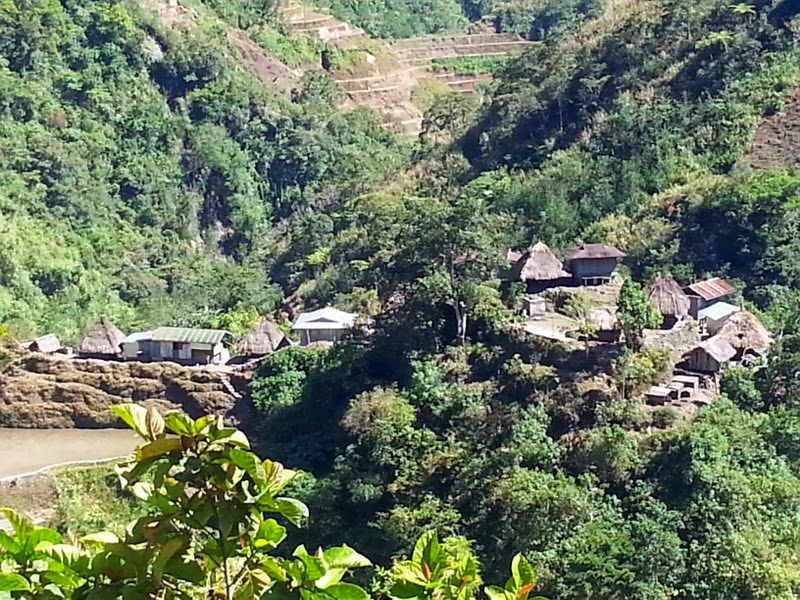 Les Philippines 2014 : BANAUE - PULA - CAMBULO : 31.01.14