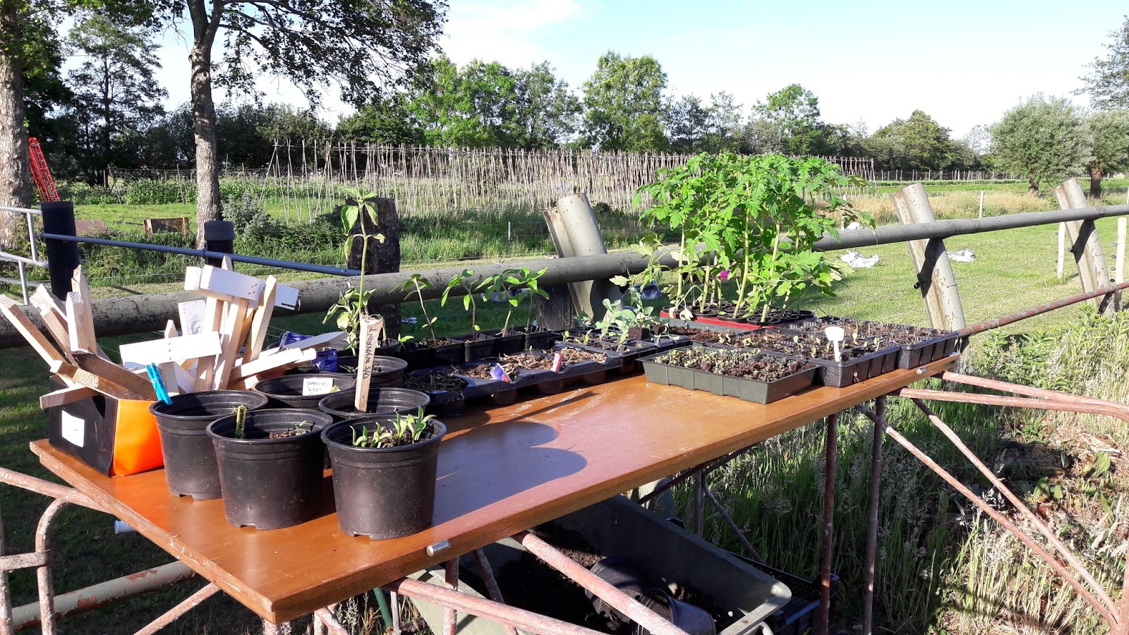 Moesker's Moestuin: Je tuin inrichten.