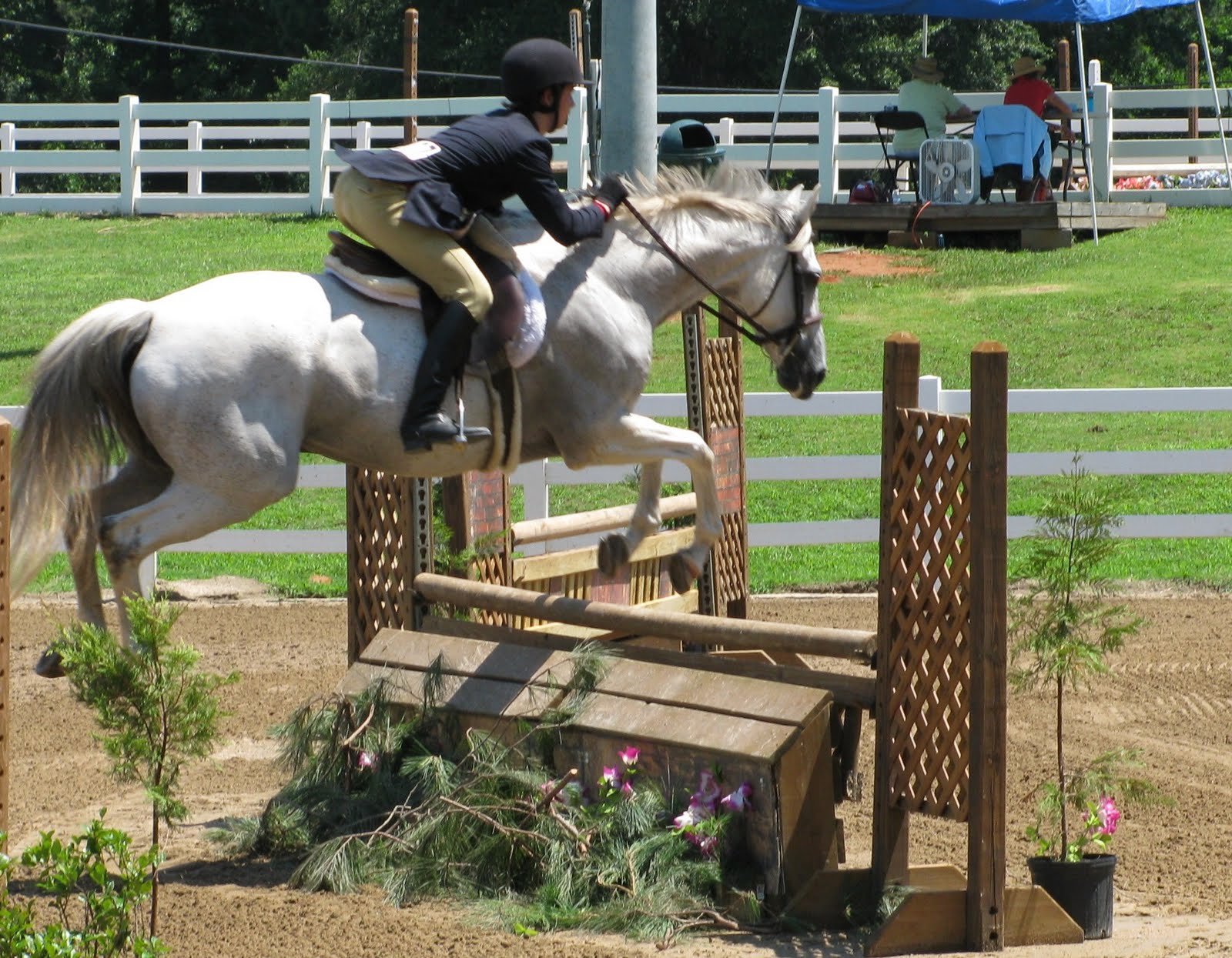 Girls and Thier Horses: Horse Show Jumping