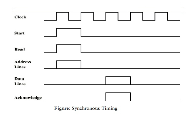What are the elements of bus design. - M.M.R cse