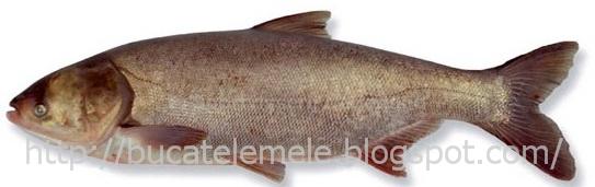 Zacusca de peste ~ BUCATE alese...