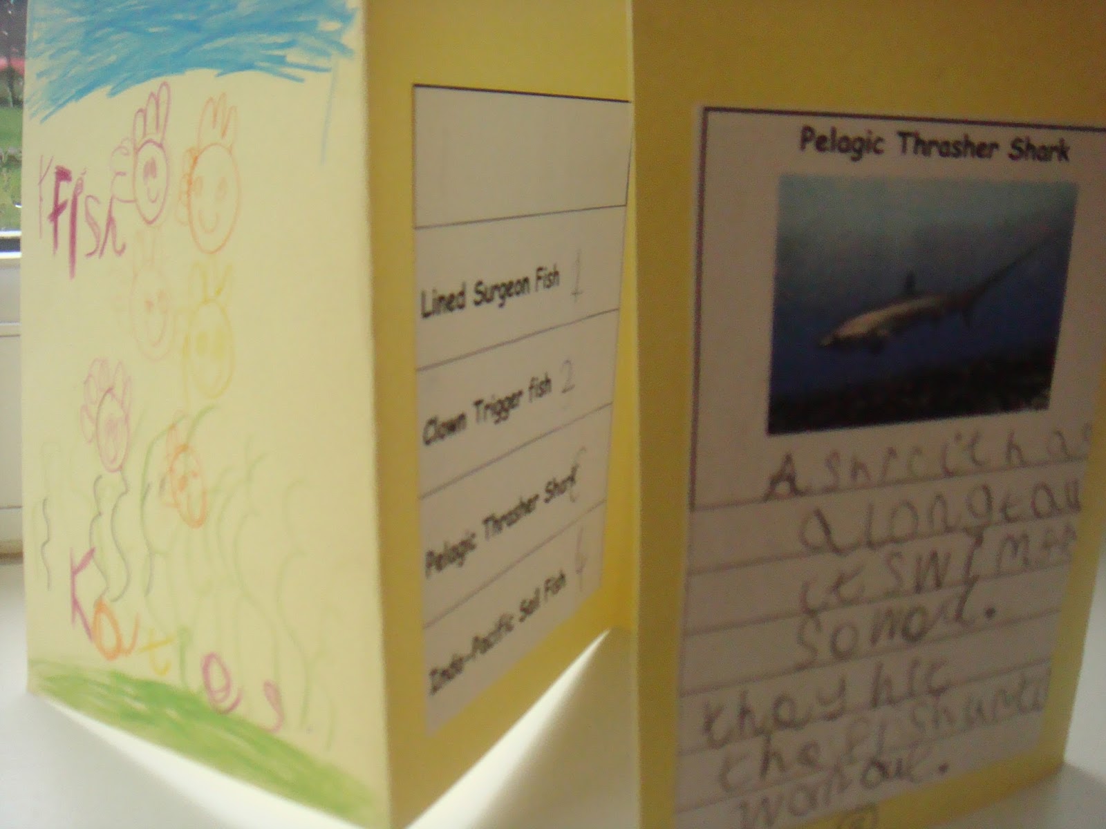 using-gaming-in-the-classroom-writing-non-fiction-booklets-with-year-r