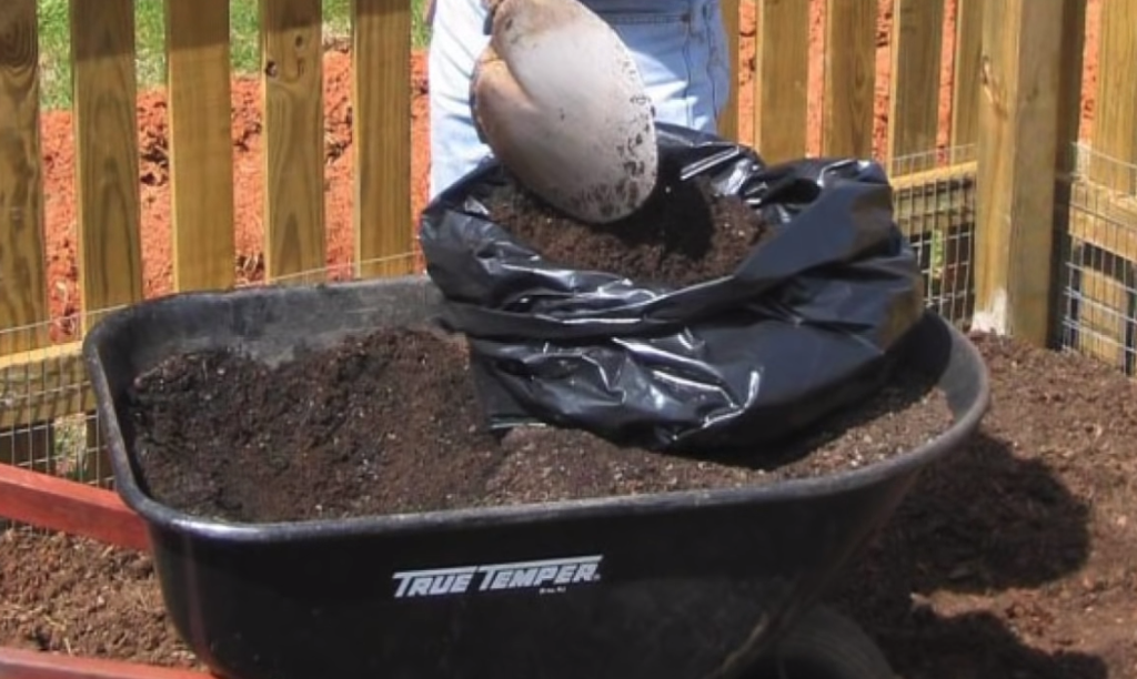 Akak Tak Perlu Beli Kentang Lagi! Begini Cara Tanam Kentang Dalam Guni ...