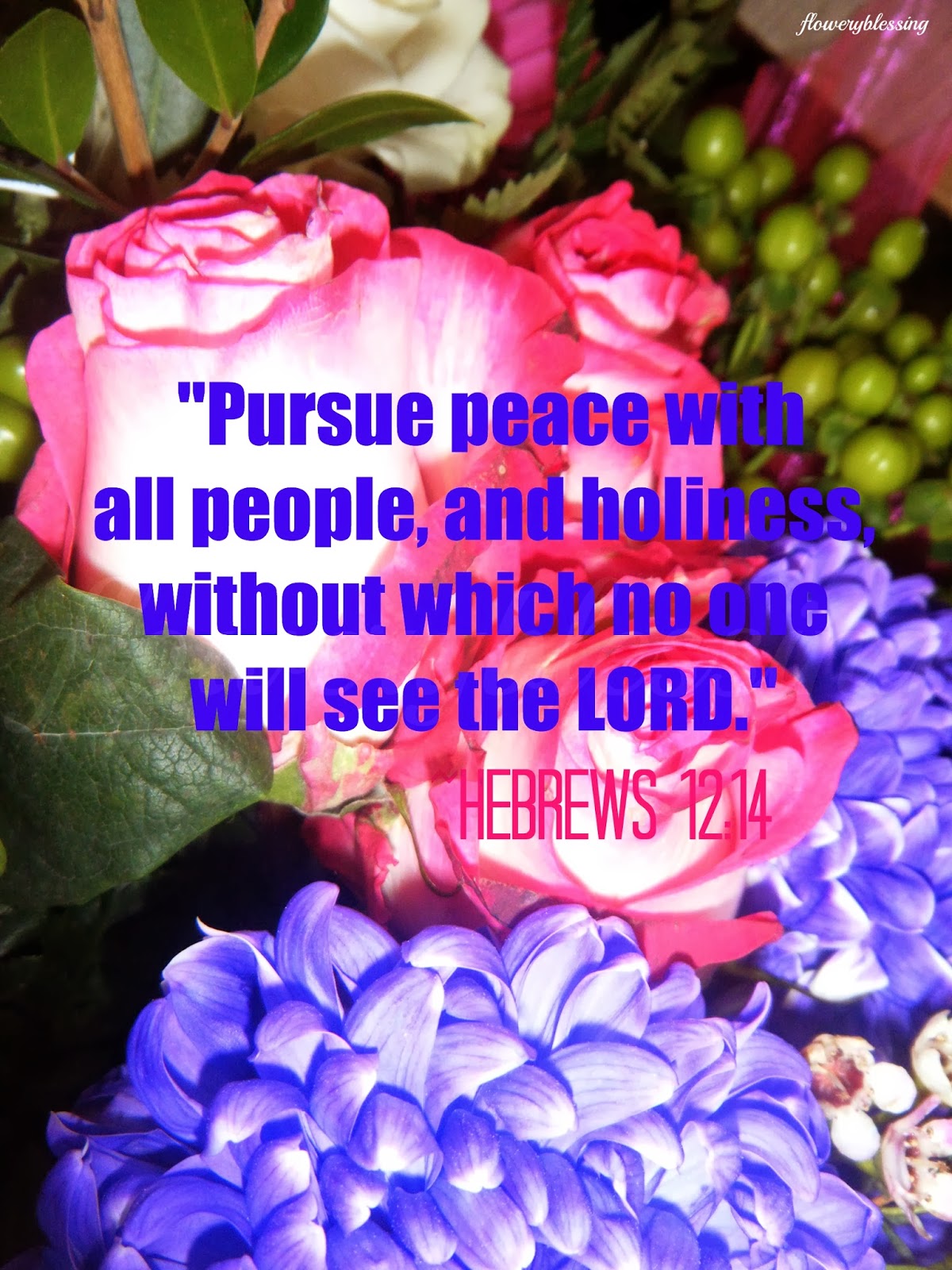 Flowery Blessing: "Pursue peace with all people, and holiness, without ...