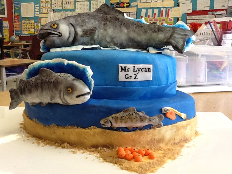 Randerson Ridge Library: Gr. 2's are learning about the salmon life cycle