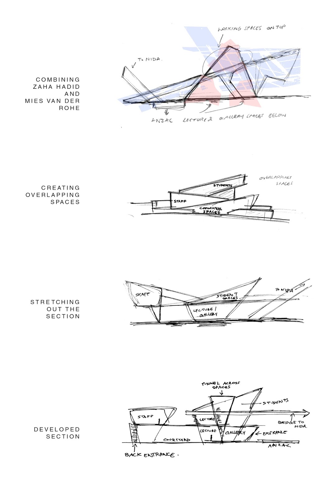 ARCH1101: Week 3 Plan and Section Development