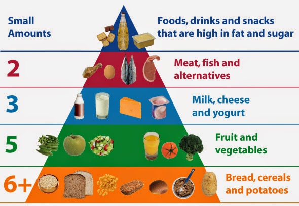 Learn Together, Explore Together: Introduction to Food Pyramid