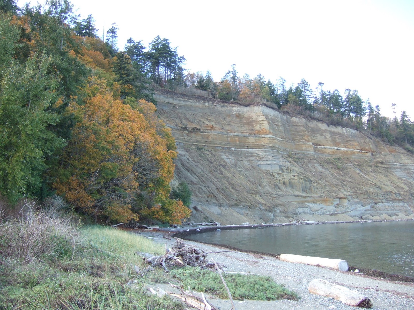 Reading the Washington Landscape: Weird Sand Protrusions at Lilly Point ...