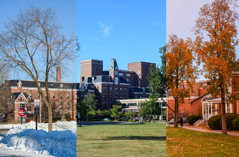 Corey Templeton Photography: Seasons of Portland: Maine Medical Center
