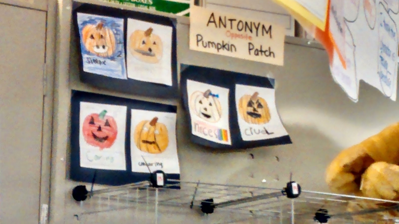 Our Antonym Pumpkin Patch
