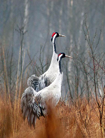 Maria Backlund: 26500 st Rekord i år.