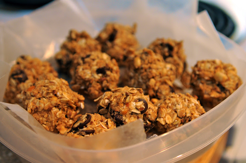 Gluten Free Bri: Protien Balls