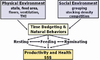 Ag Equipment & TMR Info Center: How to maximize your dairy's ...
