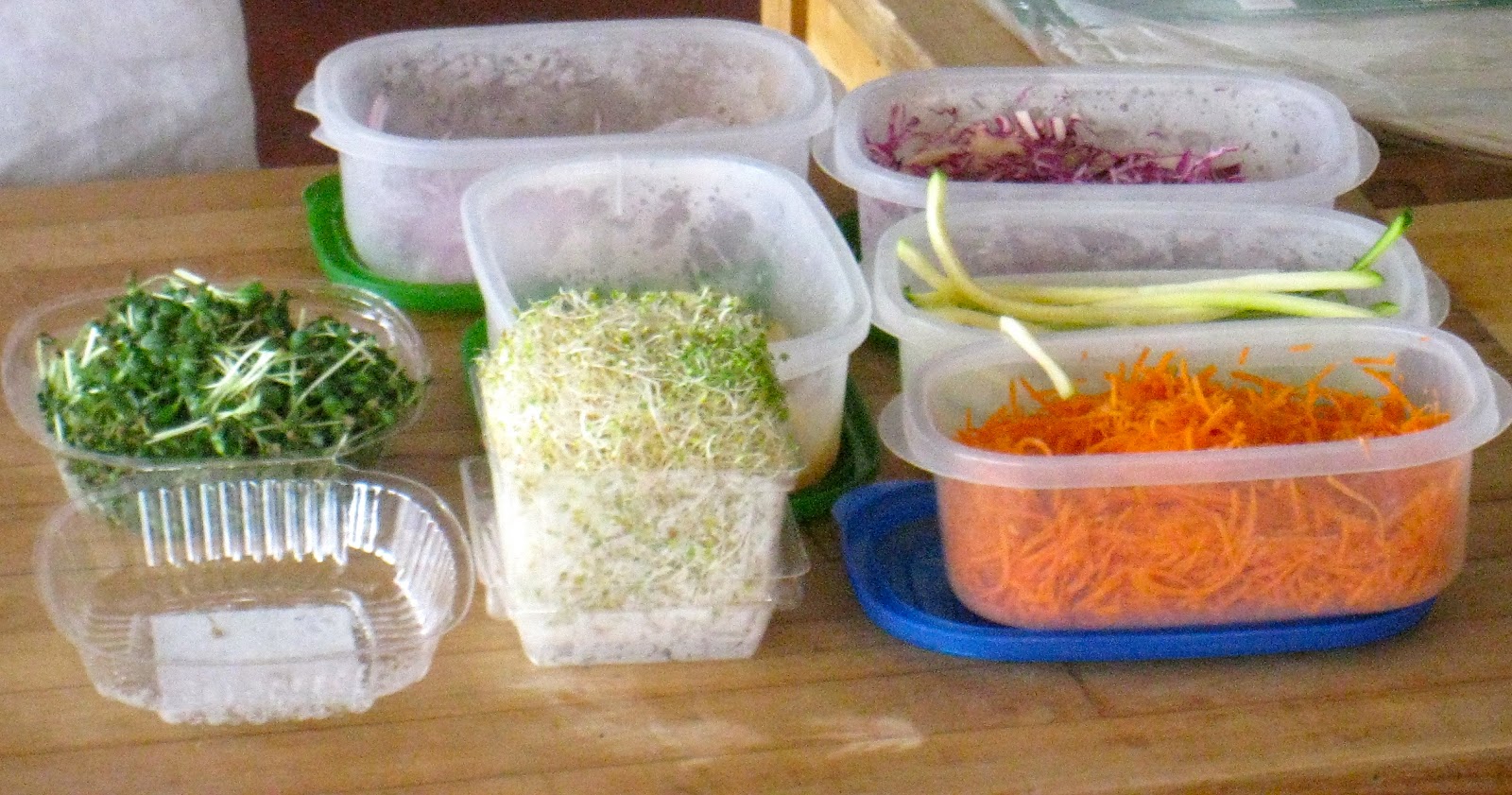 Raw Love Recipes: Lunch, Snack and Dinner from My First Raw Vegan Class