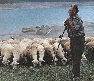 SER PASTOR (O SIGNIFICADO DESSA FRASE)