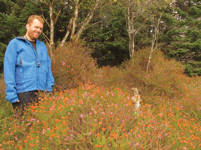 BSBI News & Views: March 2016