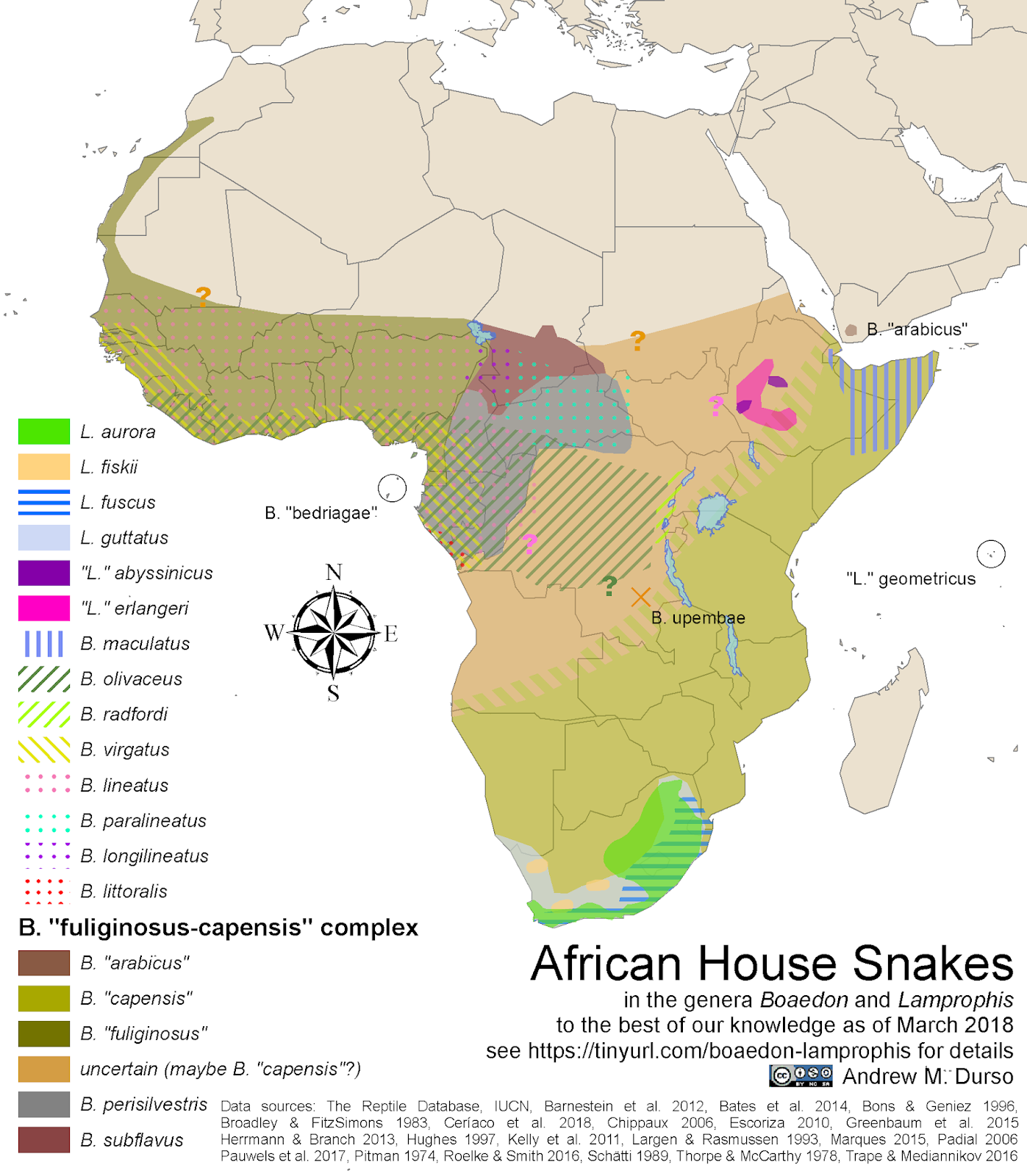 Life is short, but snakes are long