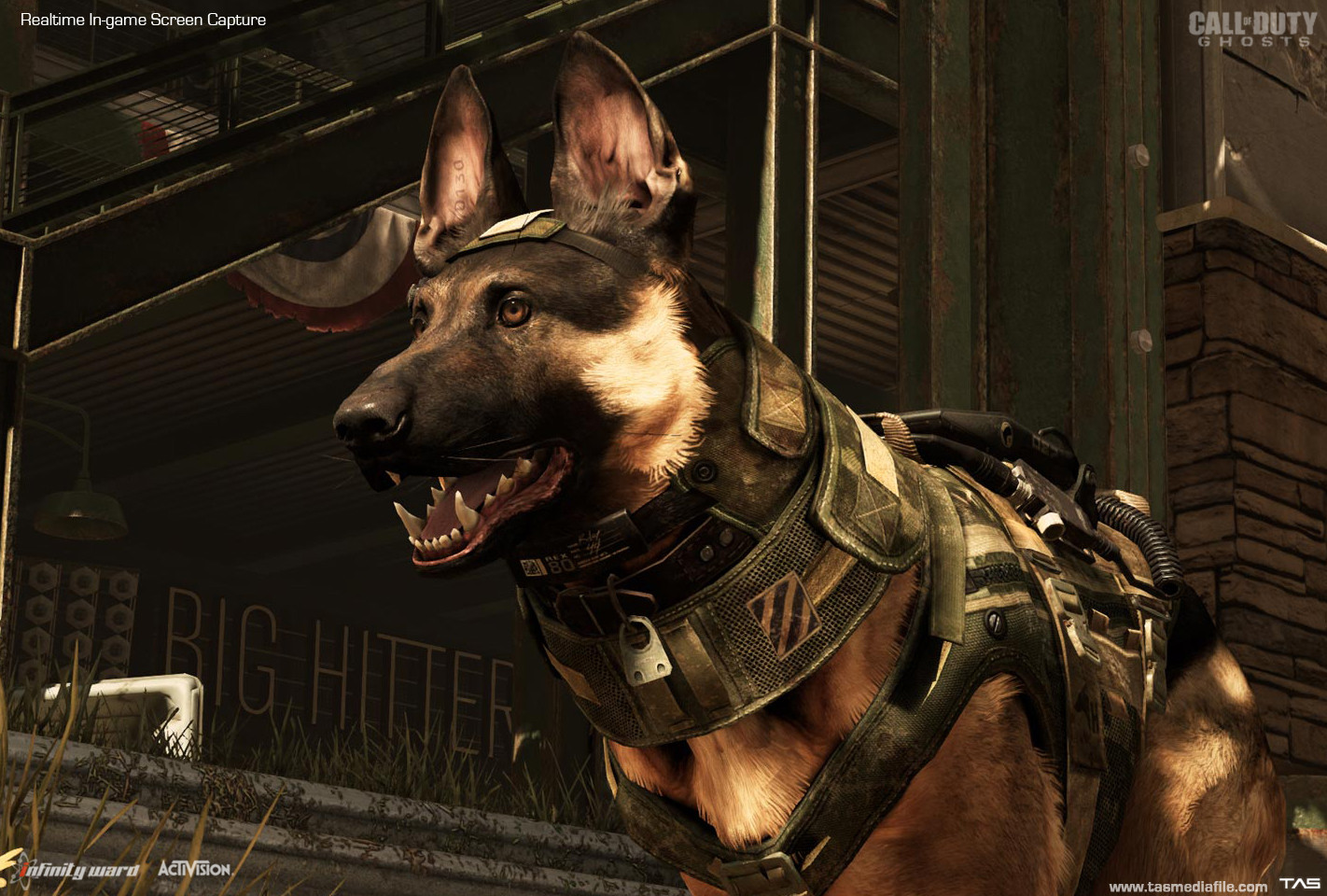 Riley from Call of Duty Ghosts 2013 | CG Daily News