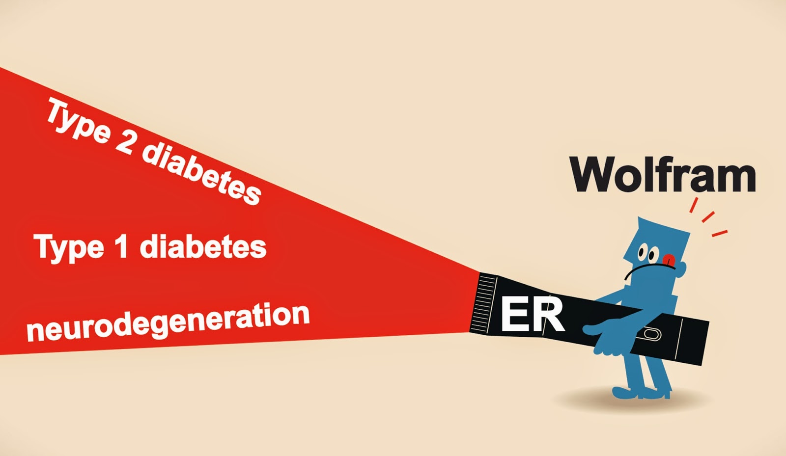Combating Wolfram Syndrome: Wolfram syndrome is a prototype of human ...