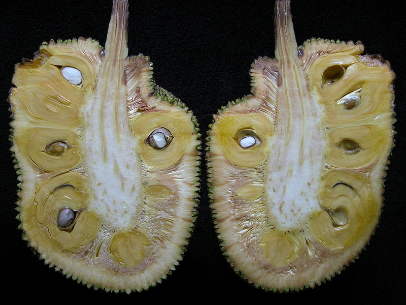 We love Our Bangladesh: Jackfruit (Kathal) -National Fruit of Bangladesh