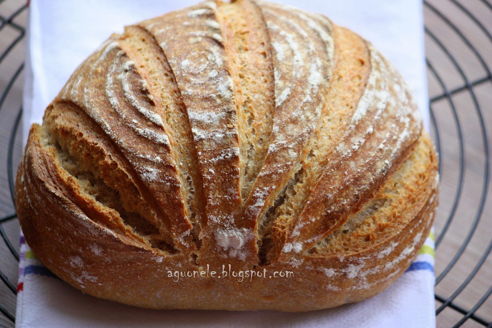 aguonėlė: gruodžio 2011