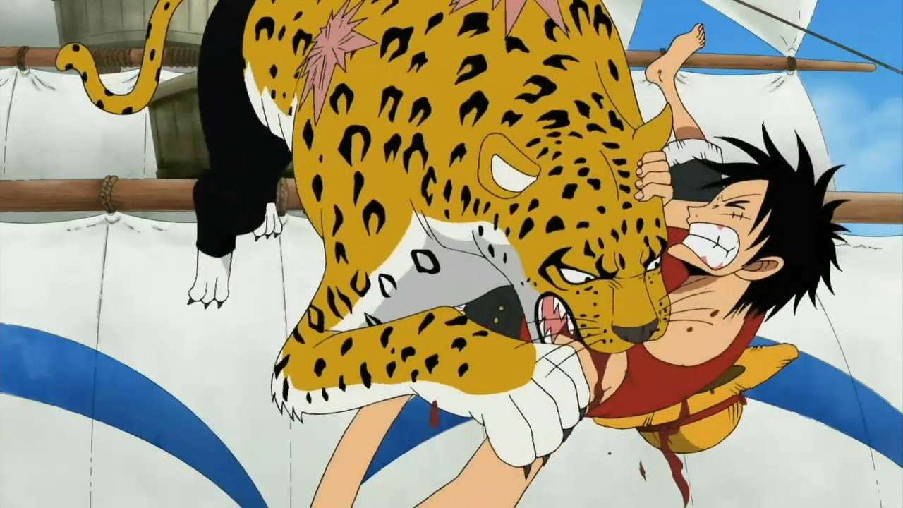 Universo Animangá: Akuma no Mi: Neko Neko no Mi - Modelo Leopardo