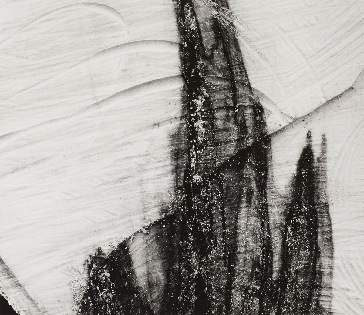 Los Grandes Fotografos: Minor White (1908-1976)