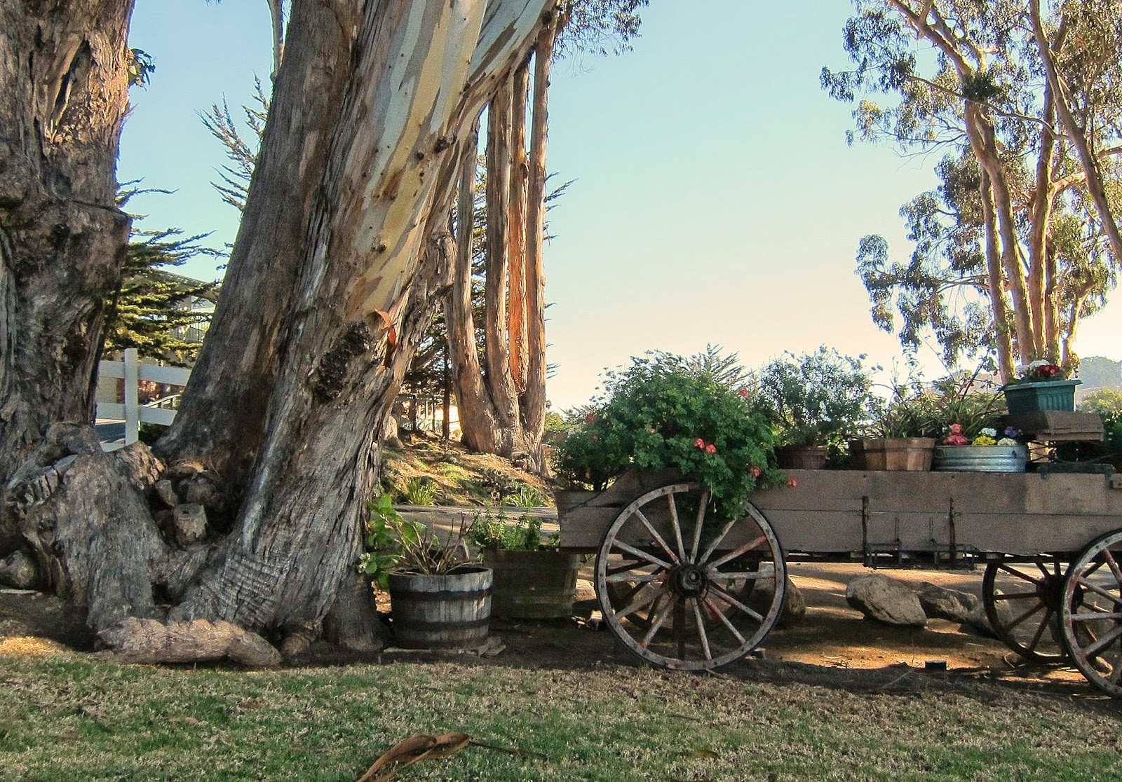 Carmel - Mission Ranch