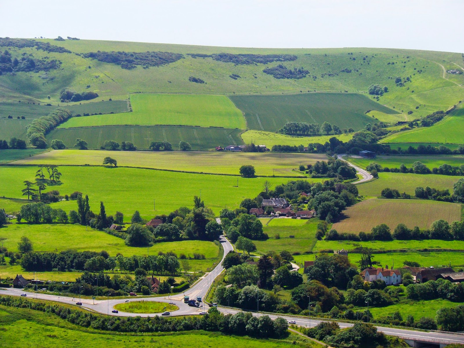 ORIGINAL ART by Paula Oakley: June 2014