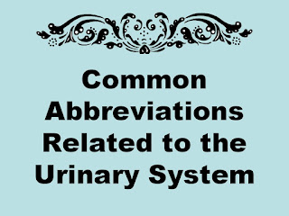 Student Survive 2 Thrive: Free Medical Terminology Flash Cards: Urinary ...